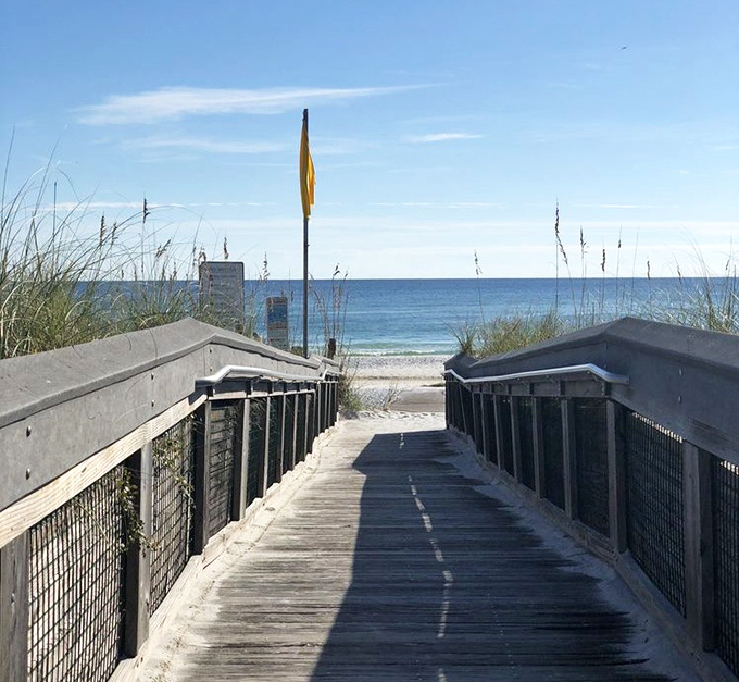 The stairway to heaven is actually a wooden boardwalk in Florida. Who knew paradise was just a few steps away?