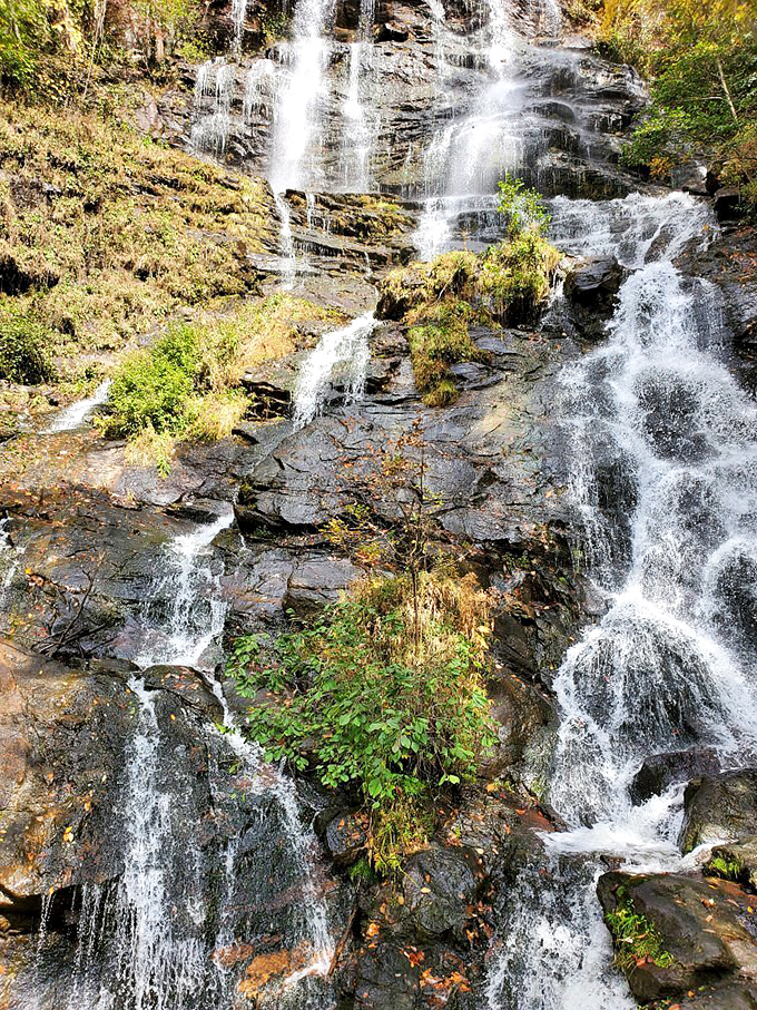 Amicalola Falls doesn't trickle &ndash; it thunders down 729 feet of Georgia mountainside like nature showing off.