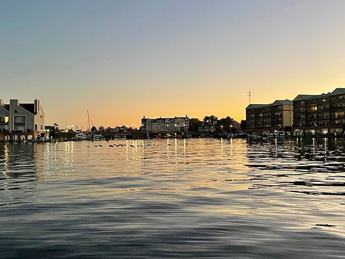 Cambridge's waterfront offers peaceful sunsets that would cost a fortune in bigger cities. Here, they're just part of daily life.