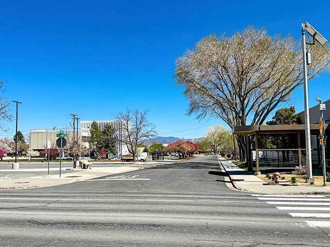 Carson City's tree-lined streets offer a peaceful alternative to Nevada's flashier destinations. History and affordability in perfect harmony.