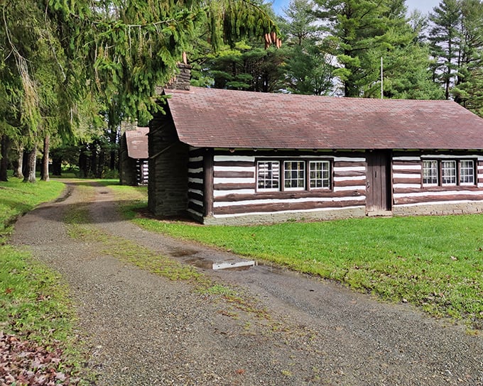 Cherry Springs after dark - the universe's greatest light show doesn't need electricity. Just bring a blanket and look up!
