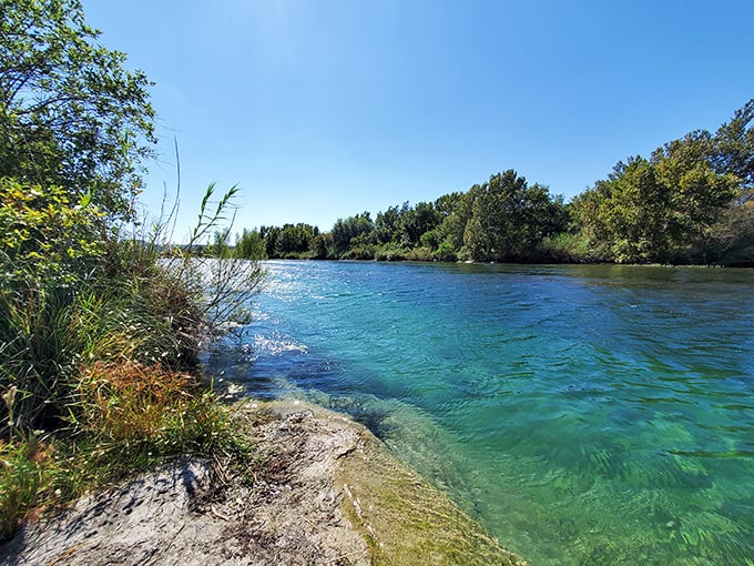 Mother Nature's swimming pool! Devils River's crystal waters are so clear, you'll swear someone sneaked Windex into the watershed.