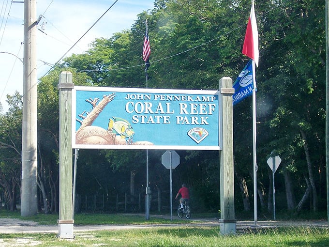 John Pennekamp Park: Where fish have the right of way and humans are just visiting their underwater neighborhood.