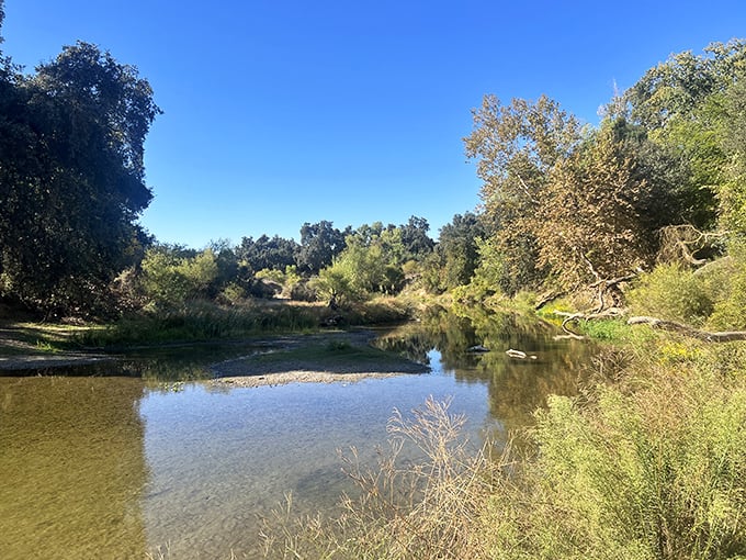 The Merced River flows crystal-clear between ancient oaks, creating nature's perfect swimming hole and sanctuary.