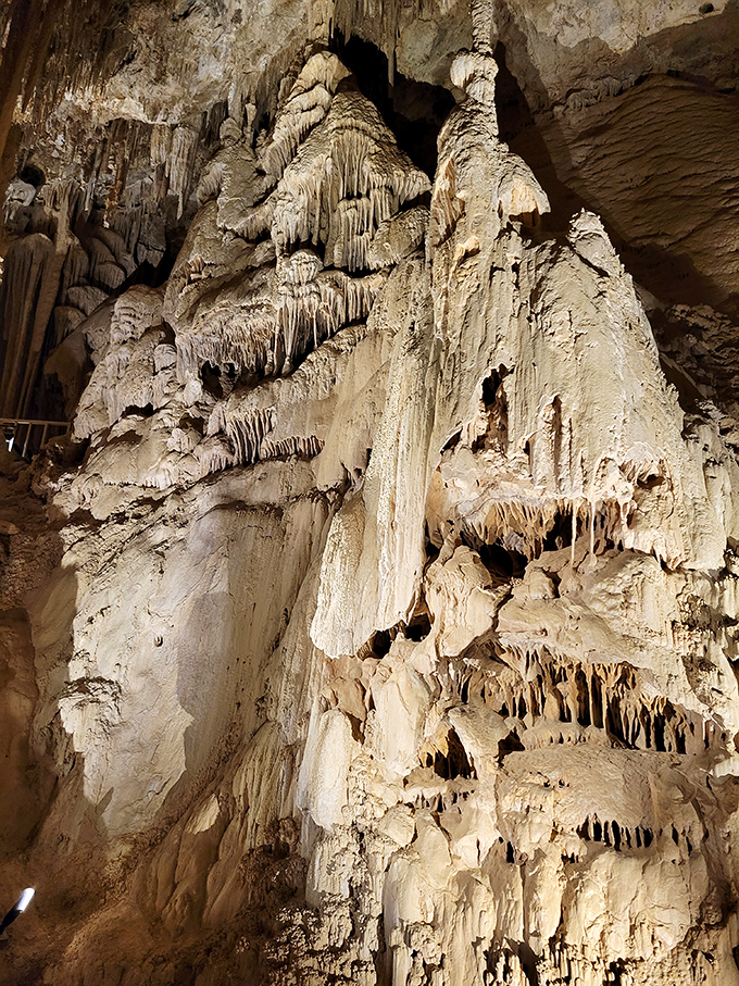 Desert heat vanishes as you enter Mitchell Caverns' cool embrace. These stone draperies have been forming drop by drop since woolly mammoths roamed above.