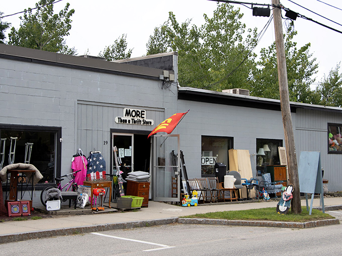 More Than A Thrift Store delivers on its promise &ndash; it's a quirky cavern of curiosities just waiting to be discovered.