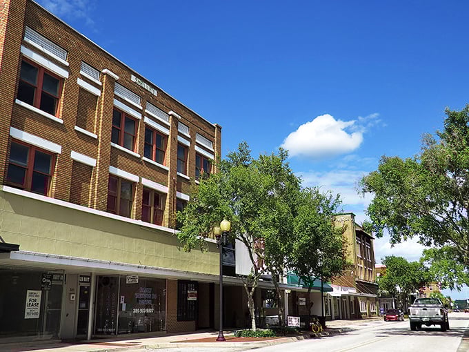 Palatka's palm-lined streets offer a glimpse of Old Florida charm. The kind of place where "rush hour" means three cars at a stoplight.