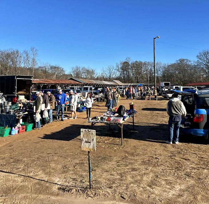 Open-air treasure hunting at its finest! Pickens County Flea Market brings together colorful vendors under bright Carolina skies.