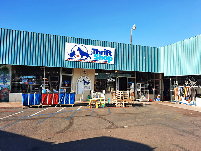 The Rancho Coastal Humane Society's turquoise building stands out like a peacock among pigeons in Cardiff's shopping landscape.