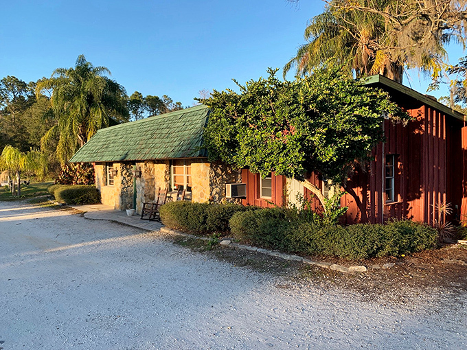 Part log cabin, part steak sanctuary. Red Wing looks like the place Paul Bunyan would celebrate after a hard day of tree-chopping.