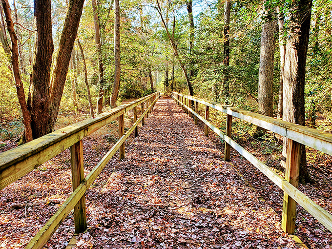 A wooden boardwalk carpeted with autumn leaves&mdash;Mother Nature's version of the yellow brick road.