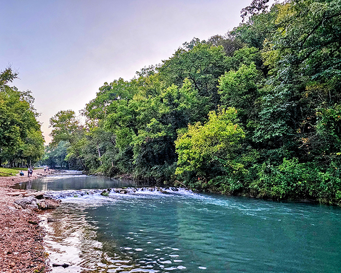 The emerald waters of Roaring River beckon anglers and daydreamers alike. Trout paradise found!