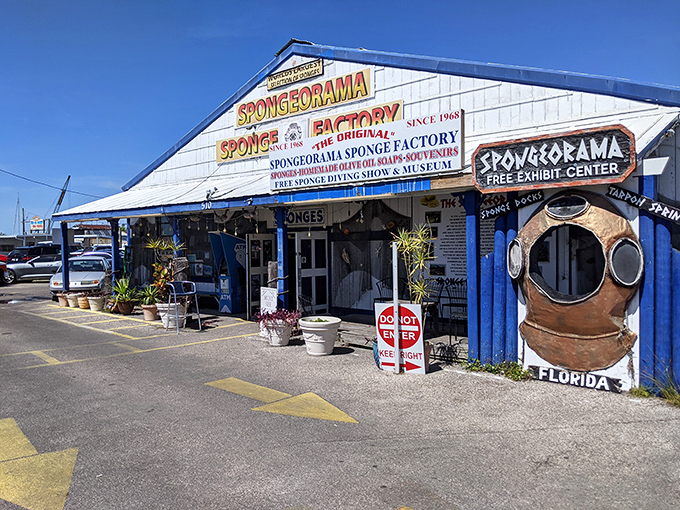 Where Mediterranean tradition meets Florida sunshine in the most unexpectedly fascinating factory tour ever.