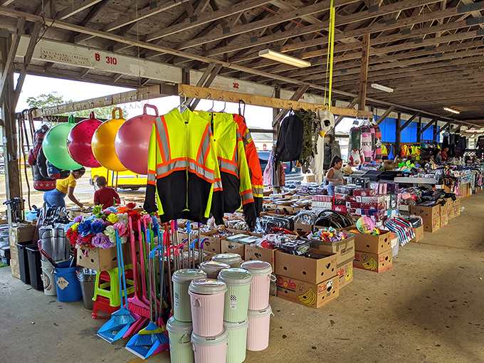 Clean aisles and organized displays make treasure hunting feel civilized - no dusty attic diving required here.