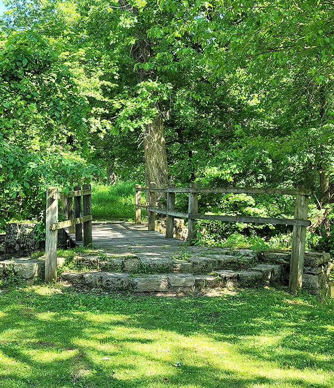 Tippecanoe River State Park's wooden bridge welcomes both two-legged and four-legged explorers. Everyone's invited to this party!