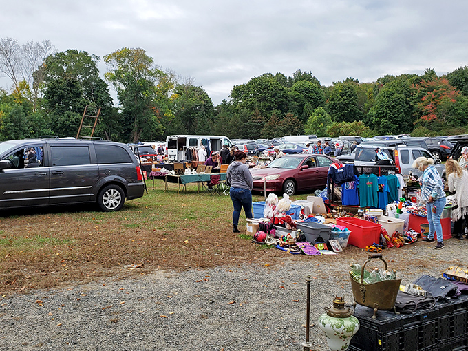 Todd Farm's rustic charm draws early birds and serious collectors to its historic grounds, where every item tells a story.