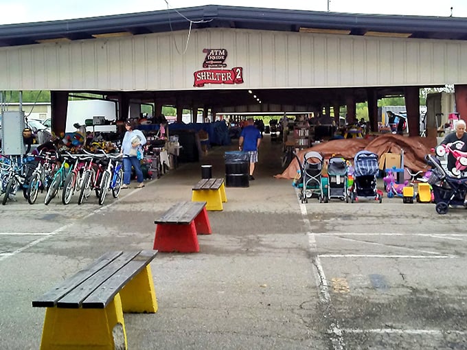 That Mail Pouch Tobacco barn door opening to reveal horse statues&mdash;a quirky welcome that perfectly sets the tone for Treasure Aisles.