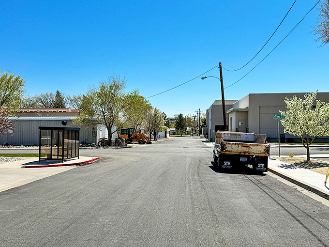 The quiet charm of Carson City hides in plain sight. Where government buildings and small businesses create a uniquely livable downtown.