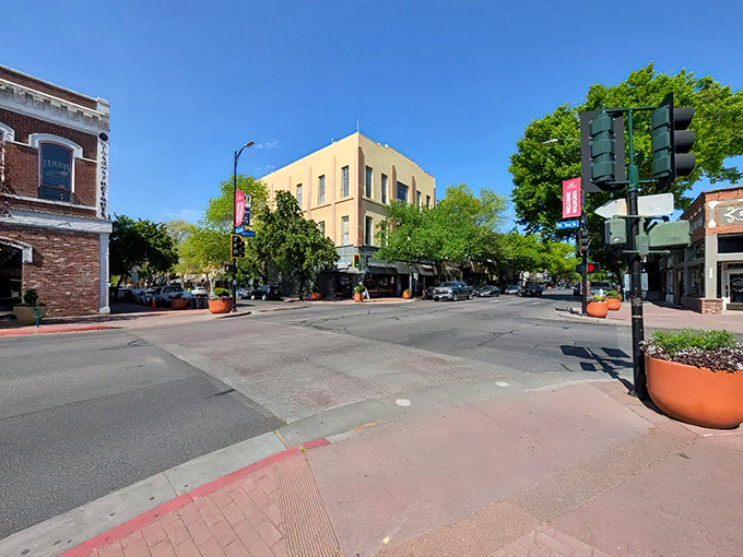 Tree-shaded streets like these make walking a pleasure in this Northern California gem of a city. 
