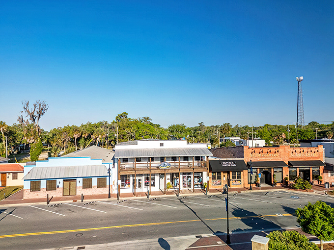 Quaint shops line Crystal River's main drag, offering everything from fishing gear to that flamingo shirt you secretly want.
