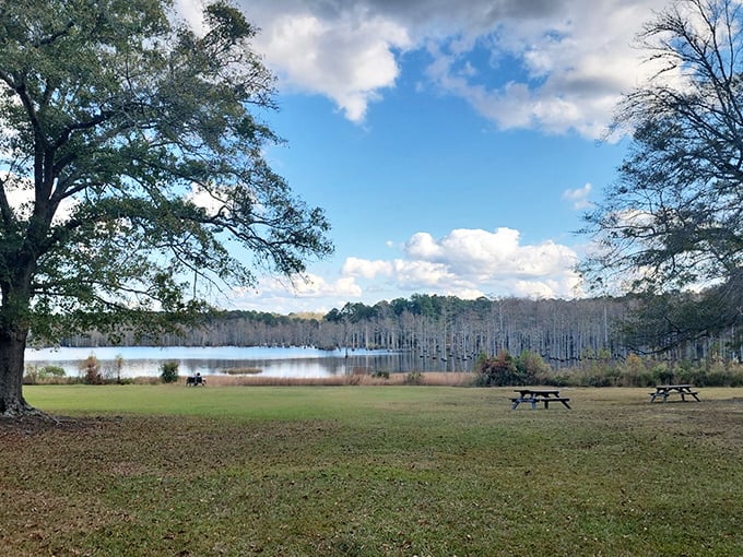 Fall transforms Goodale State Park into nature's art gallery, where every view deserves a frame.