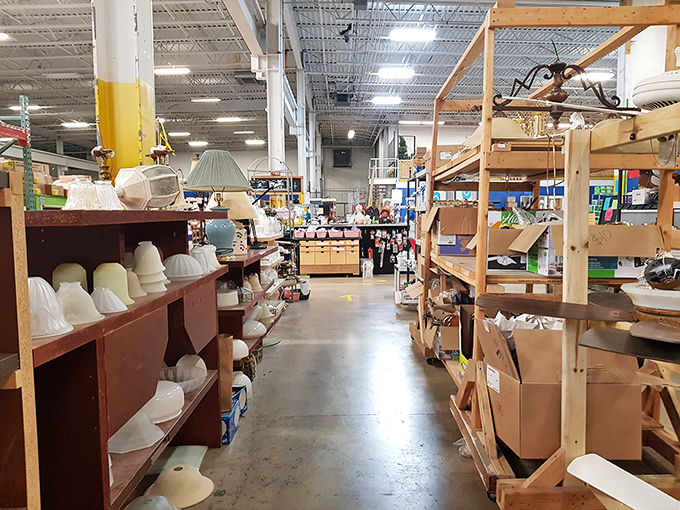 Lamp shades line up like soldiers awaiting deployment to new homes. Each shelf tells a different story of possibility.