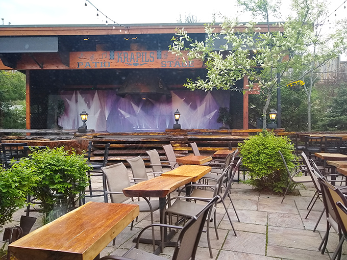 The outdoor patio at Krapil's feels like dining in an enchanted forest. String lights, fresh air, and sizzling perfection.