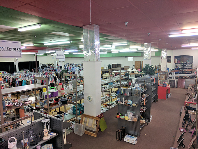 Inside this boutique-like space, treasures are displayed with care&mdash;making the hunt feel more like a curated adventure.