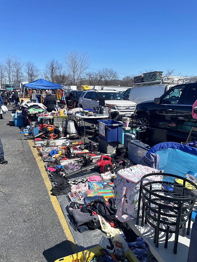 Outdoor market bustle where community spirit meets commerce under the open Maryland sky perfectly