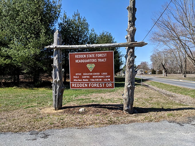 This rustic sign promises adventure beyond. Like Narnia, minus the talking lion and eternal winter.