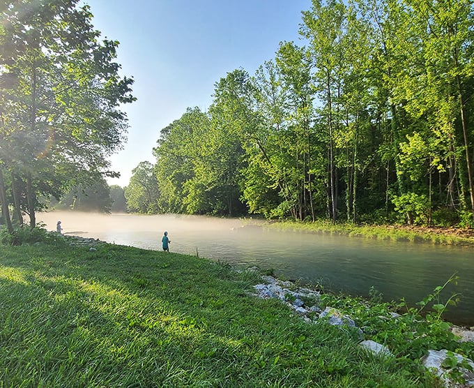 Morning mist dancing over Roaring River's crystal waters - a scene so peaceful it should be prescribed by doctors!