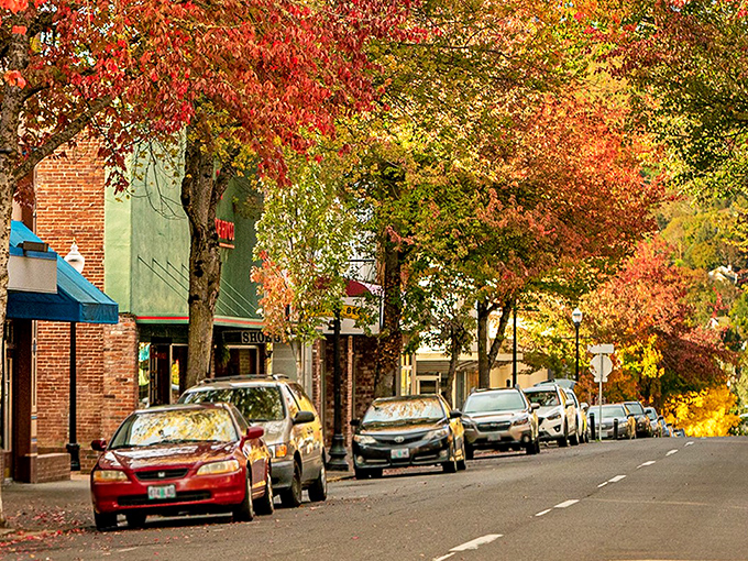 Autumn paints Roseburg's streets with nature's own masterpiece. Those brick buildings have witnessed generations of affordable small-town living.