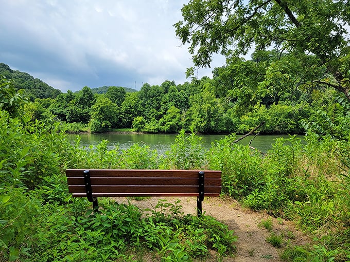 Lily pads dot the water like nature's stepping stones at Seven Islands. Even frogs appreciate good real estate.
