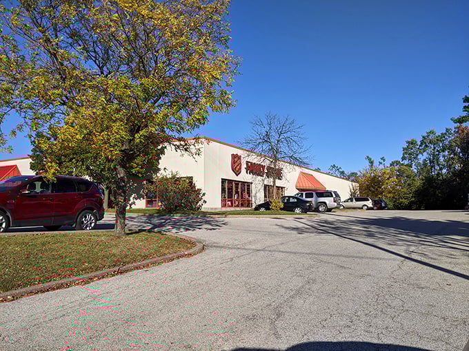 Autumn leaves frame this thrifter's dream—where every season brings fresh inventory and unexpected delights.