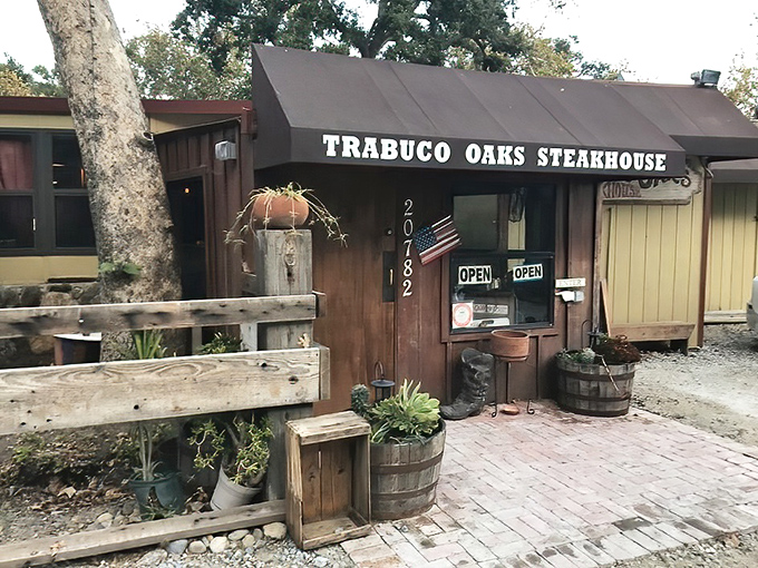 Hidden among the trees like a carnivore's secret clubhouse – leave your tie at home unless you want it snipped off!