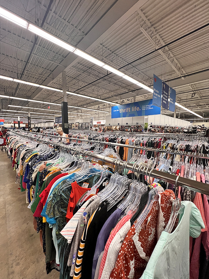 The spacious interior makes browsing a pleasure rather than a chore. No bumping elbows with fellow treasure hunters here!