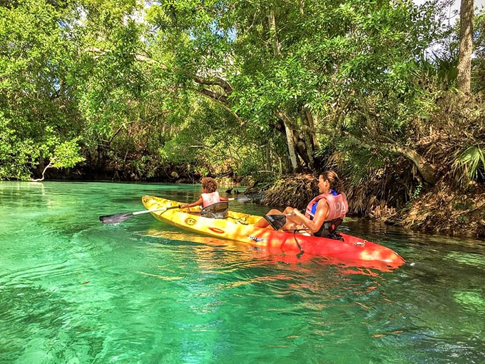 The kind of blue that makes Caribbean beaches jealous&mdash;Weeki Wachee's spring water invites you to dive into liquid perfection.