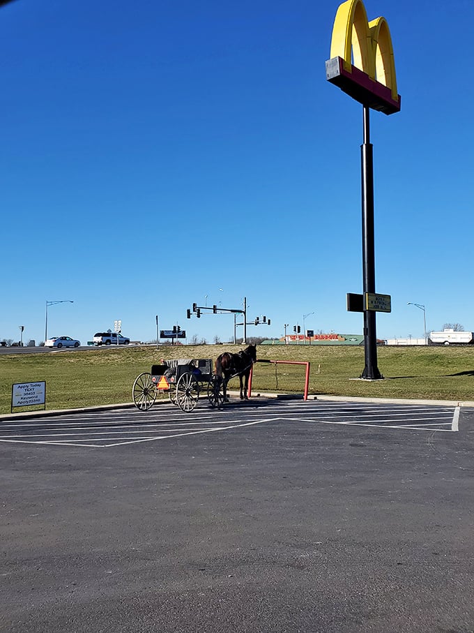 The ultimate "slow travel" experience &ndash; an Amish buggy parked at McDonald's creates a delightful juxtaposition of 19th-century transportation meeting 20th-century fast food.
