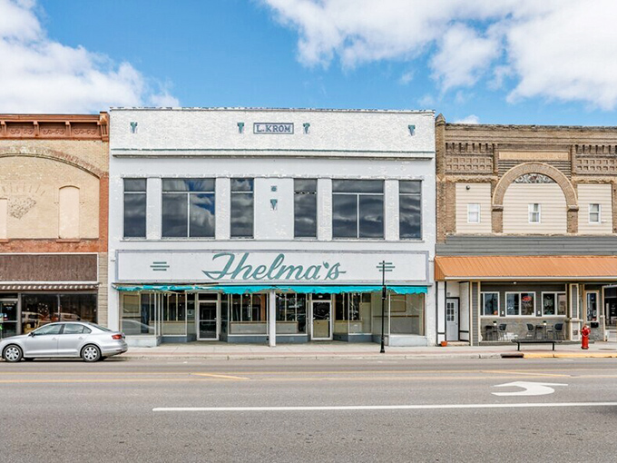 Thelma's storefront whispers tales of decades past when downtown shopping was an event and everyone knew your name (and probably your business).
