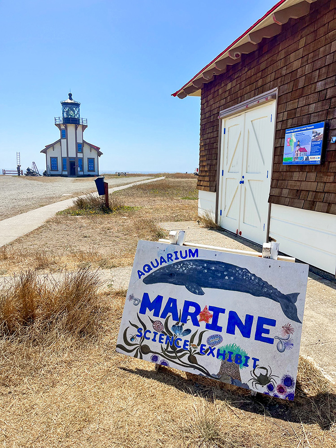 Where marine science meets coastal charm &ndash; the lighthouse and aquarium exhibit offer education with an ocean view.