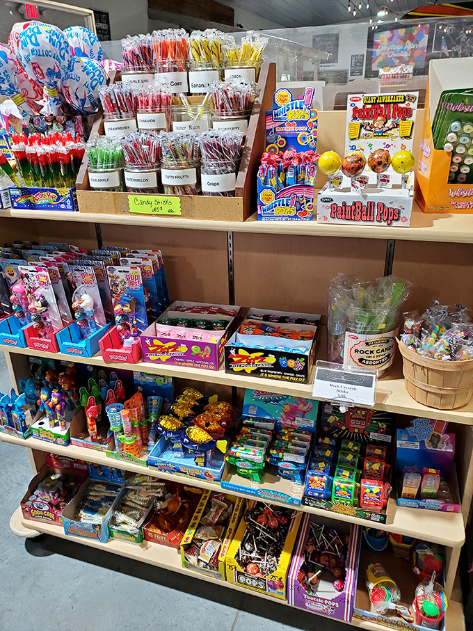Nostalgia by the shelf-full! Classic candy sticks, Push Pops, and Paintball Pops transport you back to simpler times when a dollar meant treasure.