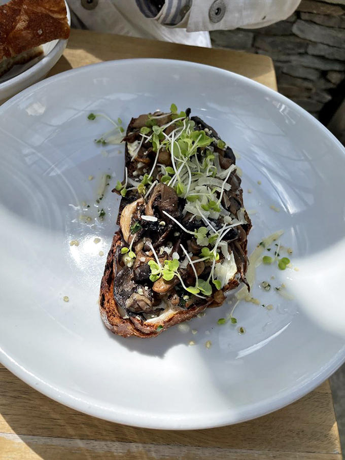 Mushroom toast that elevates fungi to celebrity status. Those microgreens aren't just garnish&mdash;they're the perfect supporting actors in this culinary drama.