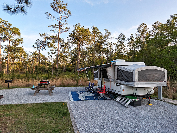 Camping with breathing room. Unlike those sardine-can campgrounds near tourist traps, Colt Creek gives you space to hear yourself think.