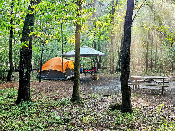 Camping among the trees offers five-million-star accommodations. That orange tent pops against the forest green like a pumpkin in October.