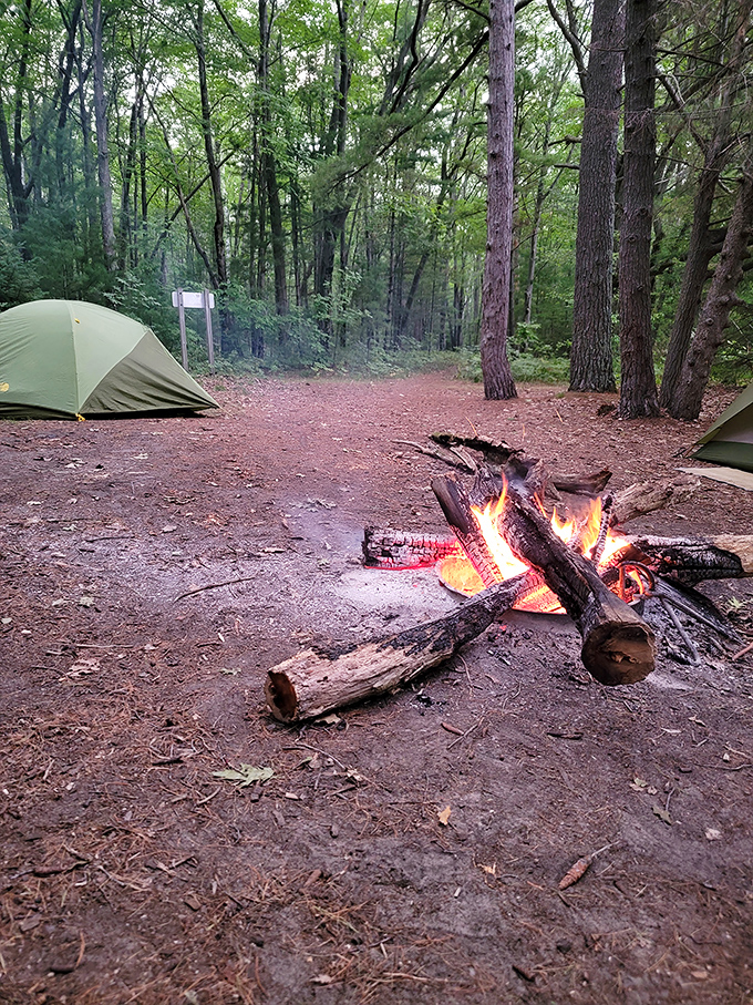 Camping as it should be. Two tents, one crackling fire, zero emails—the equation for perfect wilderness therapy at Negwegon's rustic campsites.