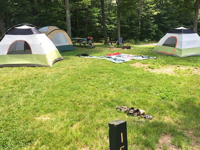 Camping under Coudersport's legendary dark skies. These tents aren't just accommodations &ndash; they're front-row seats to the greatest light show on Earth. 