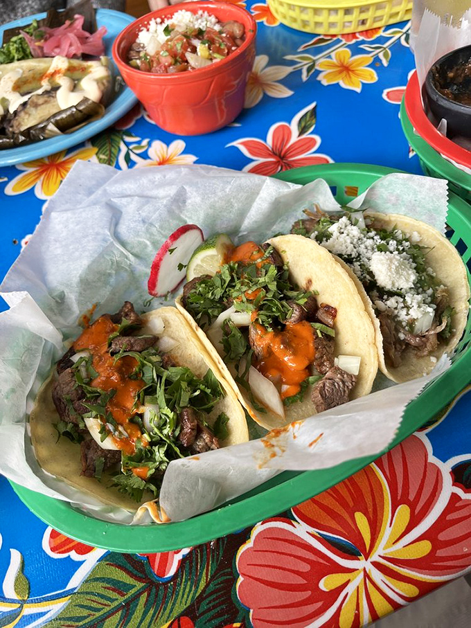 Behold the holy trinity of taco perfection: handmade tortillas, perfectly seasoned meat, and that crucial sprinkle of cilantro and onion.
