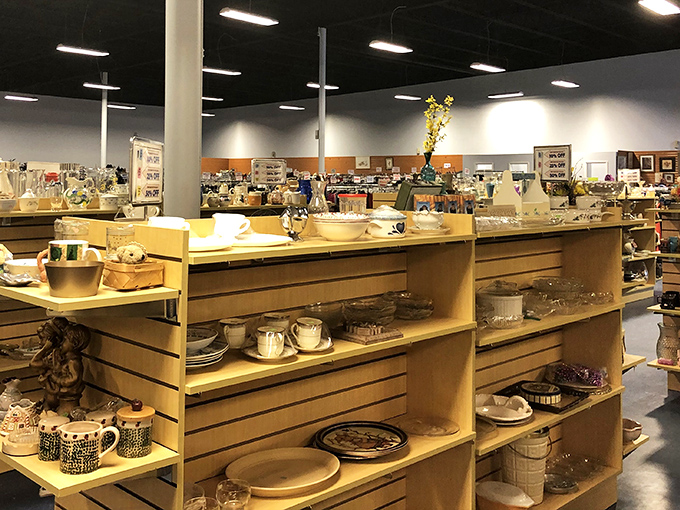 Plates, bowls, and serving pieces arranged with surprising care. Martha Stewart would approve of this organized chaos of ceramic treasures waiting to grace your dinner table.