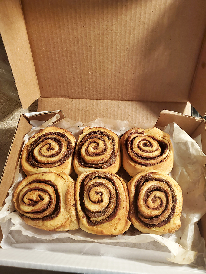 Six perfect spirals of cinnamon joy, lined up like edible artwork. The box may say "to-go," but they rarely make it home