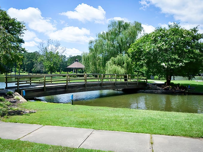 The peaceful pond at City Lake Park provides a serene escape, where wooden footbridges invite contemplative strolls and quiet conversations.